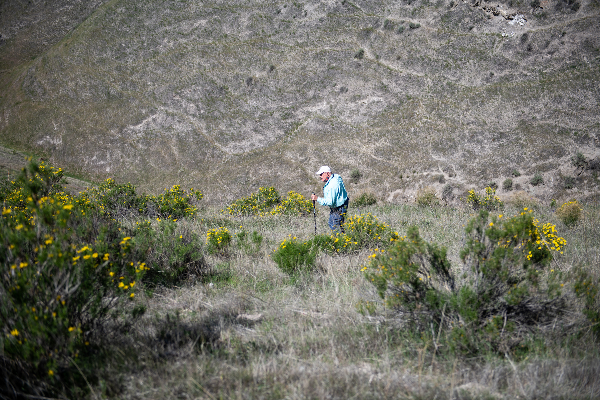 'The Unicorn Plant': How a Team of Scientists May Have Saved the Large ...