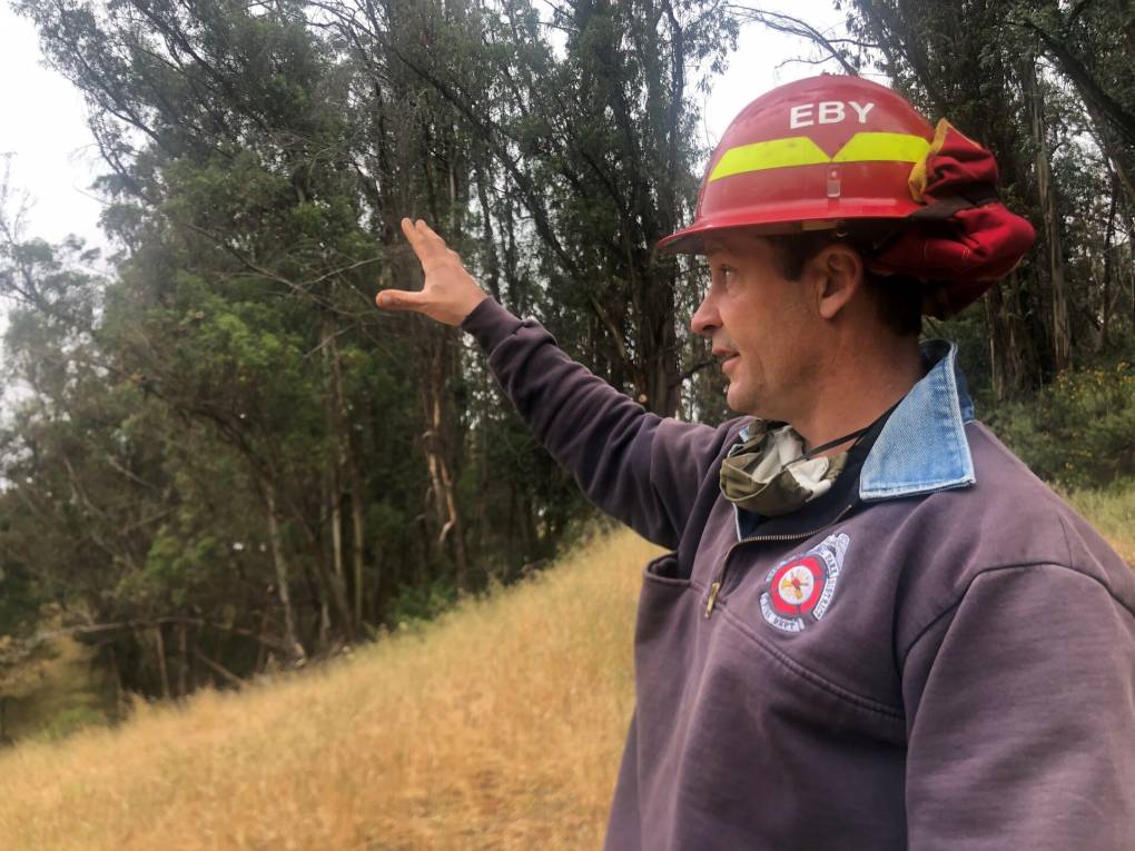 Bone Dry Bay Area Forests Portend Fierce Fire Season | KQED
