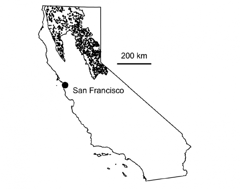 See California Wildlife Return to Wildfire Zones, Courtesy of Hidden ...