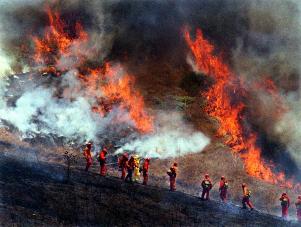 Cal Fire Fumbles Key Responsibilities to Prevent Catastrophic Wildfires ...