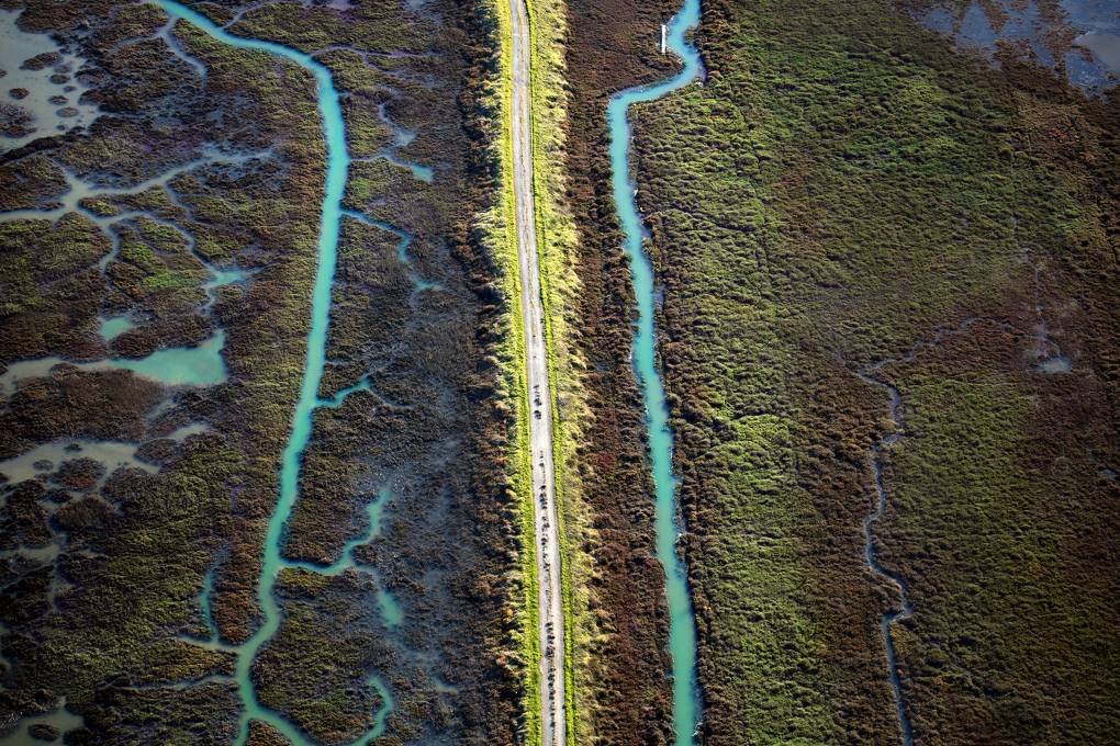 Migratory Birds Return As Salt Ponds Heal: Documenting a Damaged World ...
