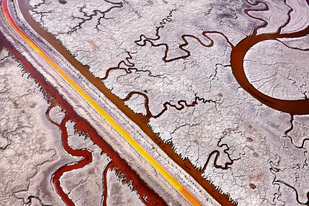 Migratory Birds Return As Salt Ponds Heal: Documenting a Damaged World ...
