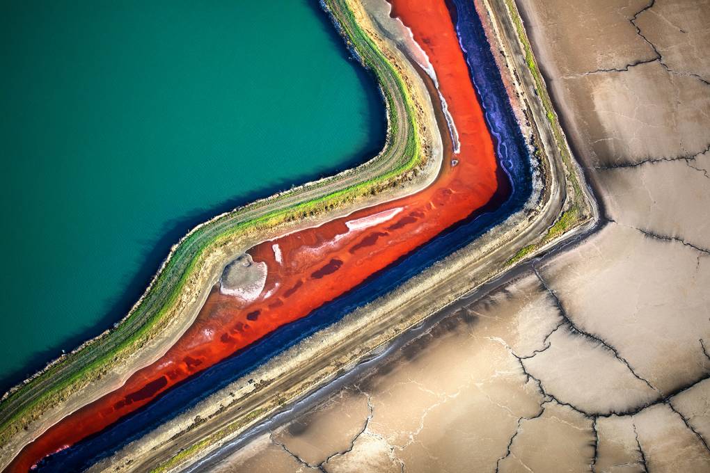 Migratory Birds Return As Salt Ponds Heal: Documenting a Damaged World ...