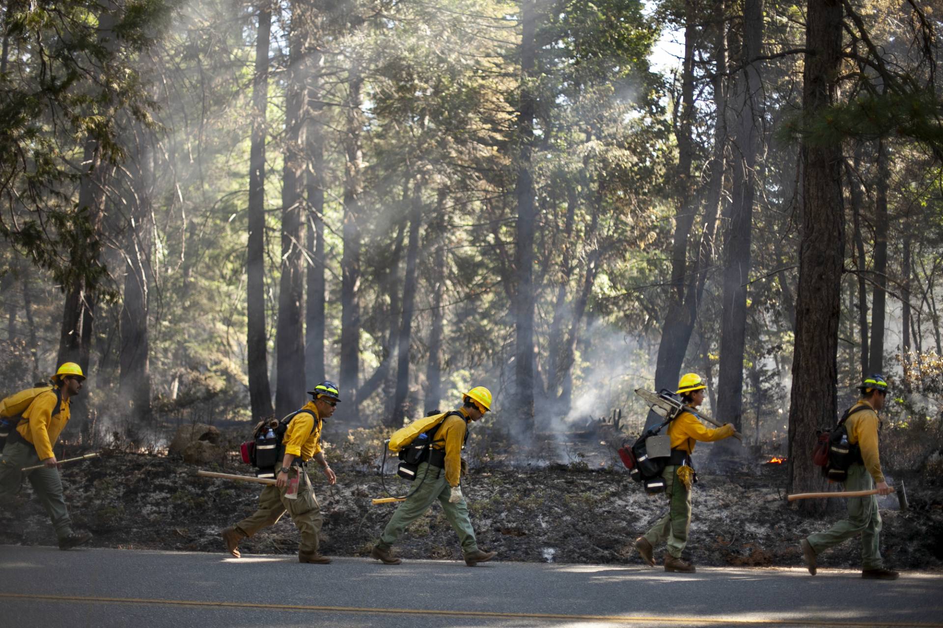 Facing the Fire: California's Sierra Foothills Residents Race to Adapt ...