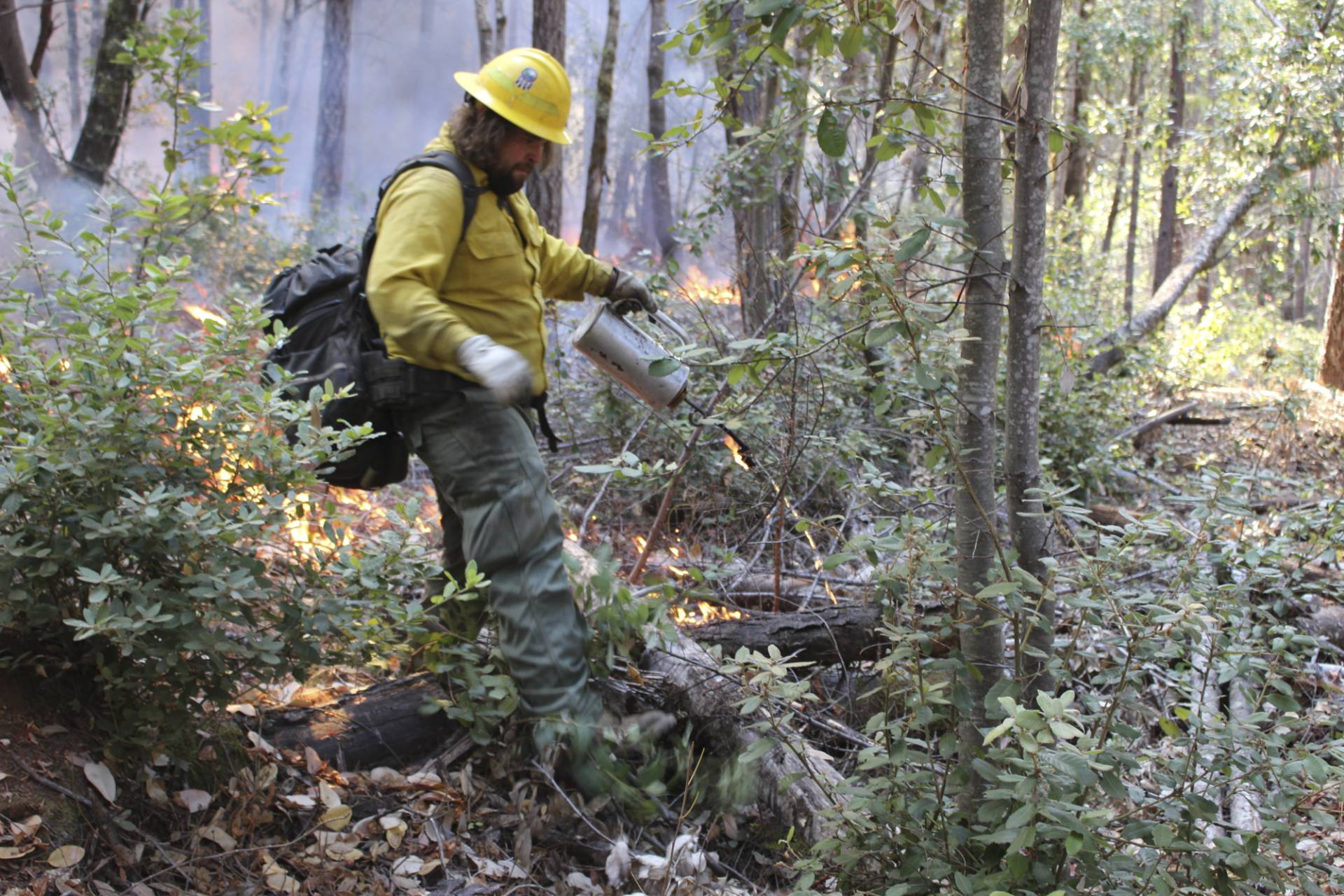 California Has Invested Billions in Forest Fire Efforts. Newsom Wants ...