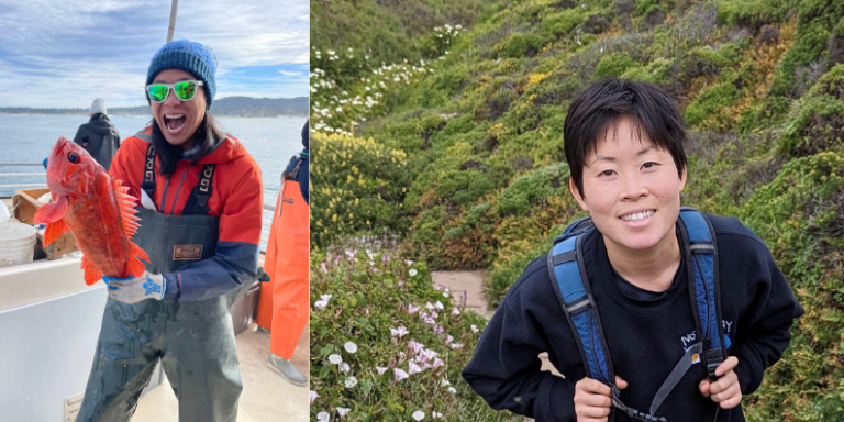 From Seadragons to Ospreys: Squidtoons Explores Science Through Comics ...