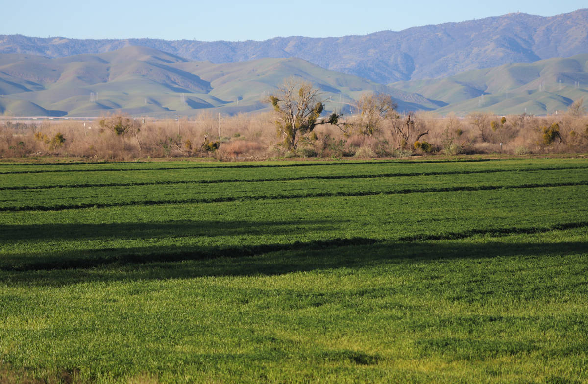 One Increasingly Popular Way to Control Floods: Let the Water Come | KQED