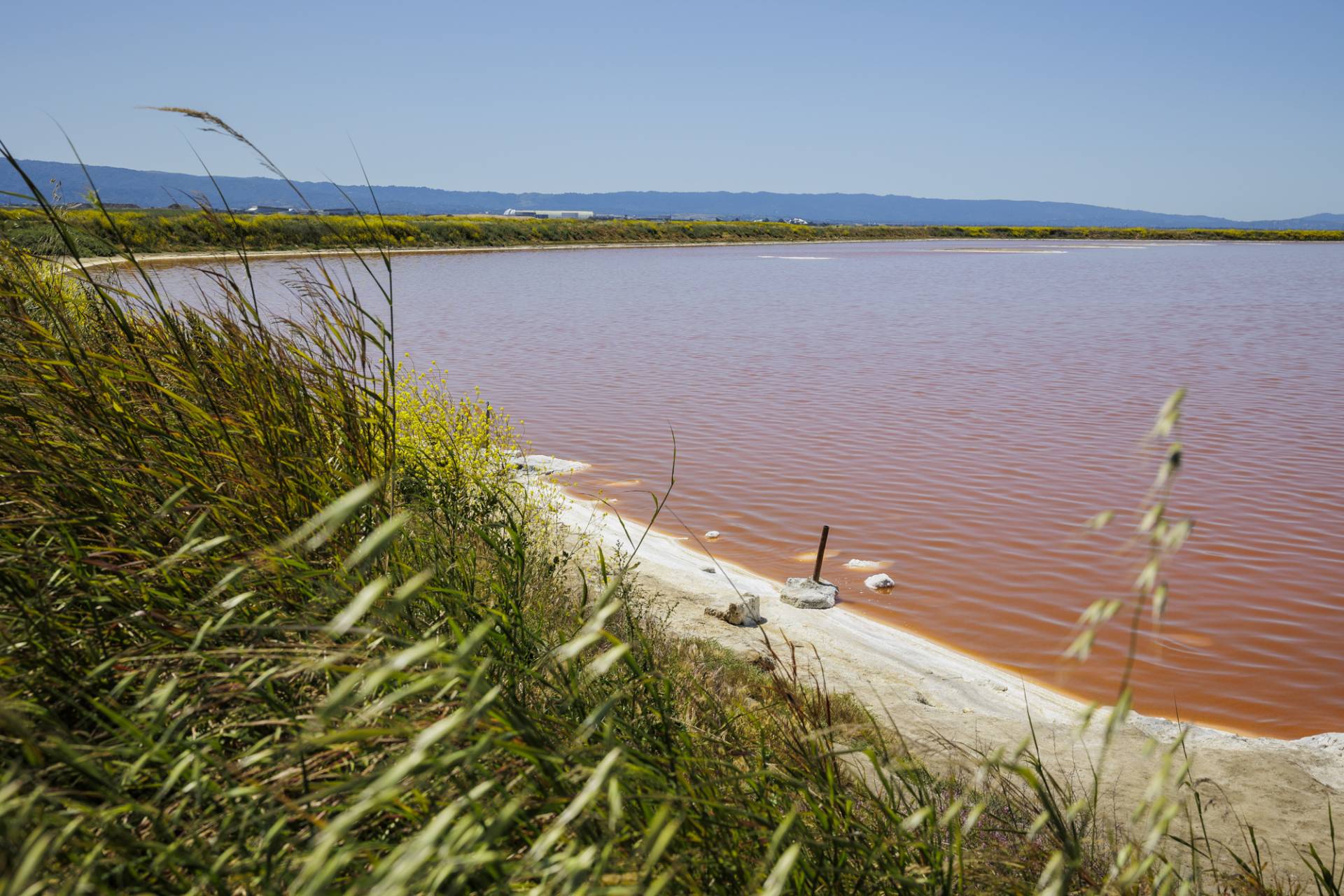 From Tunnel Muck to Tidal Marsh, BART Extension Could Benefit the Bay ...