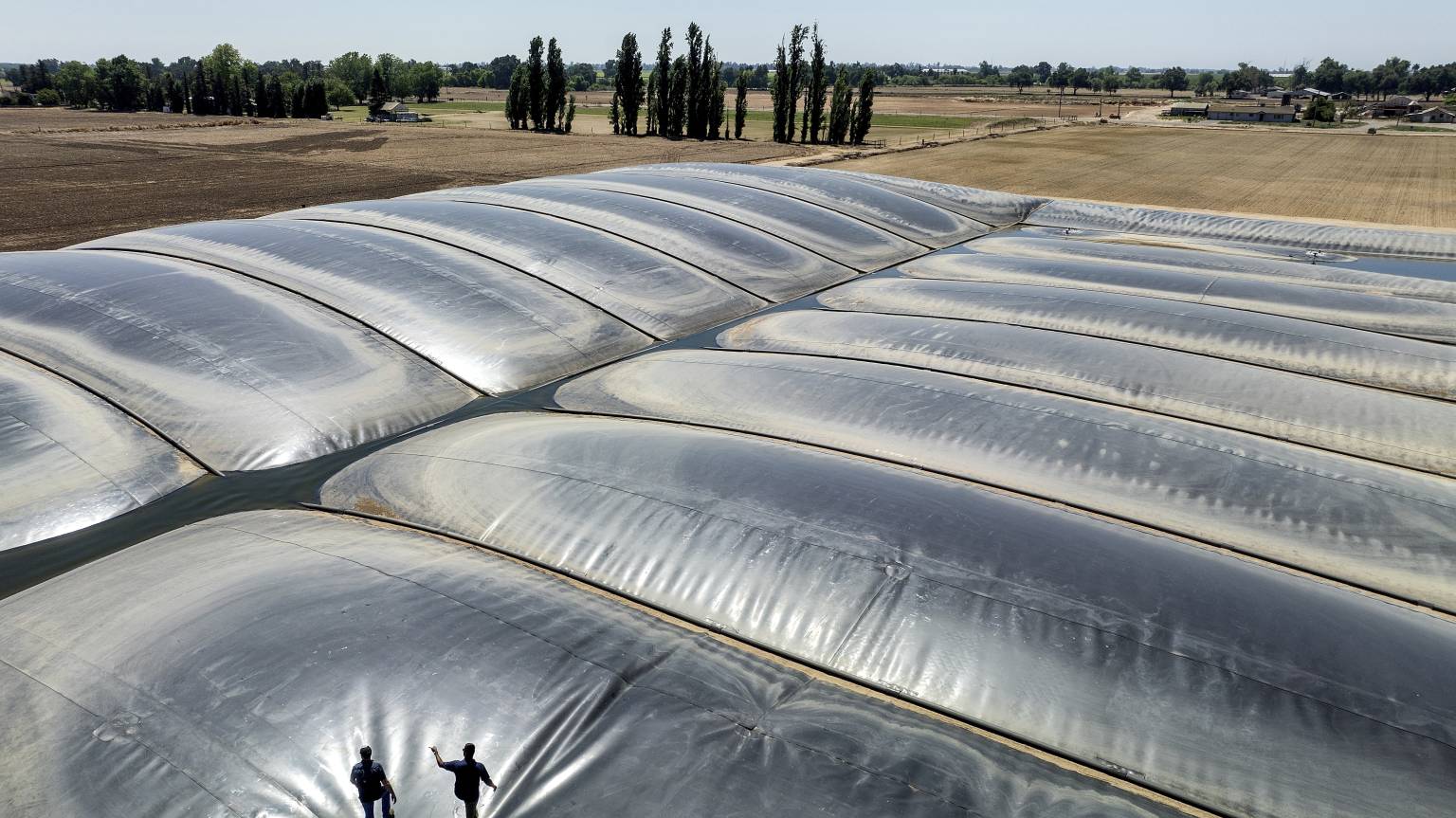 Fuel From Cow Manure Is a Growing Climate Solution, but Critics Say ...