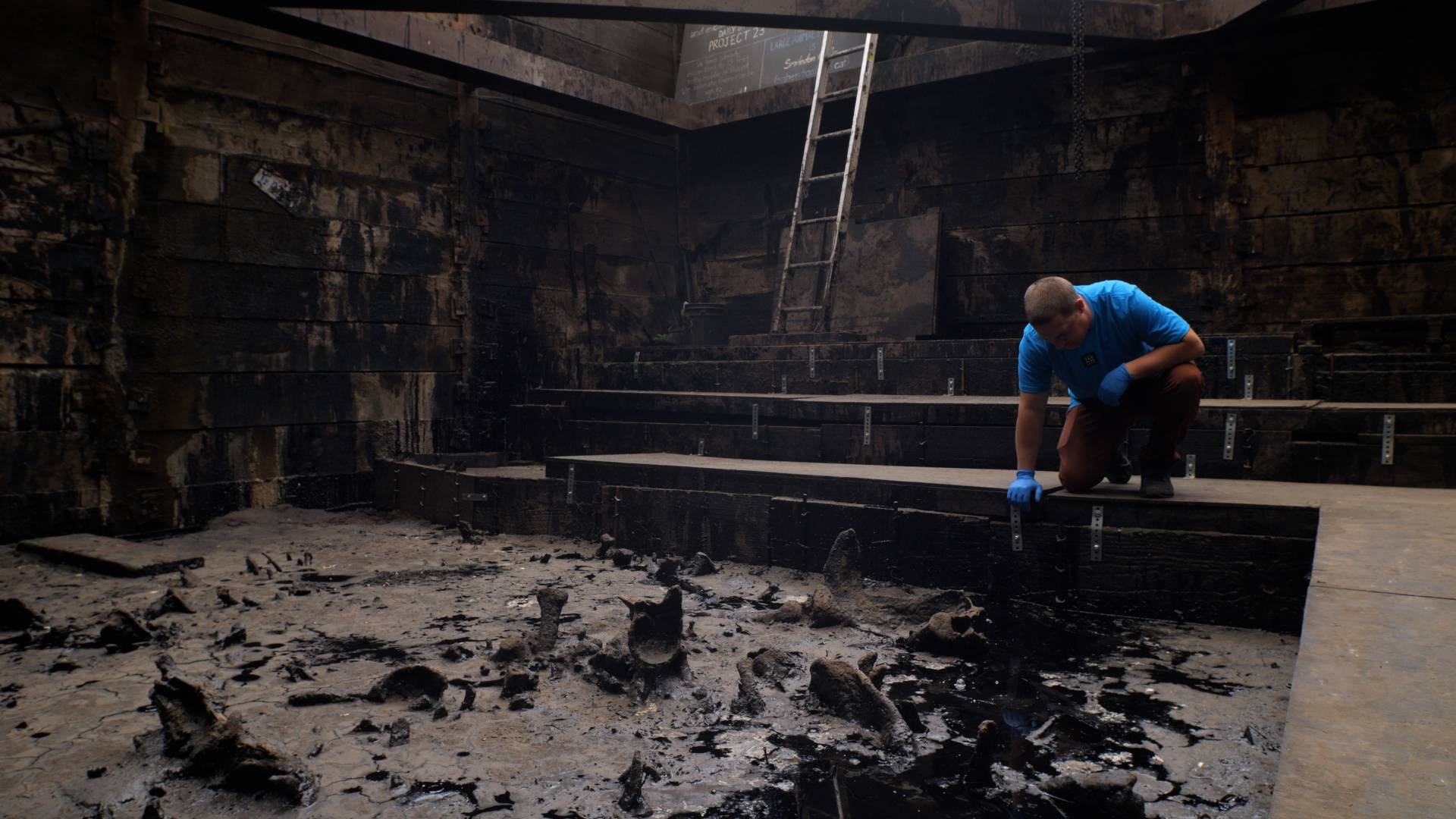 How Can These Flies Live in Oily Black Tar Pits? | KQED