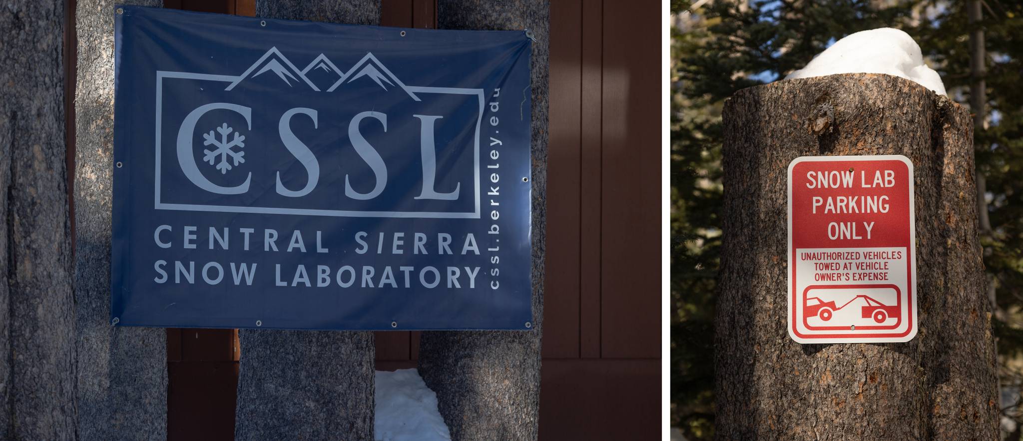 Scientists Learn the Art of Measuring Snow at Hidden Tahoe Lab | KQED
