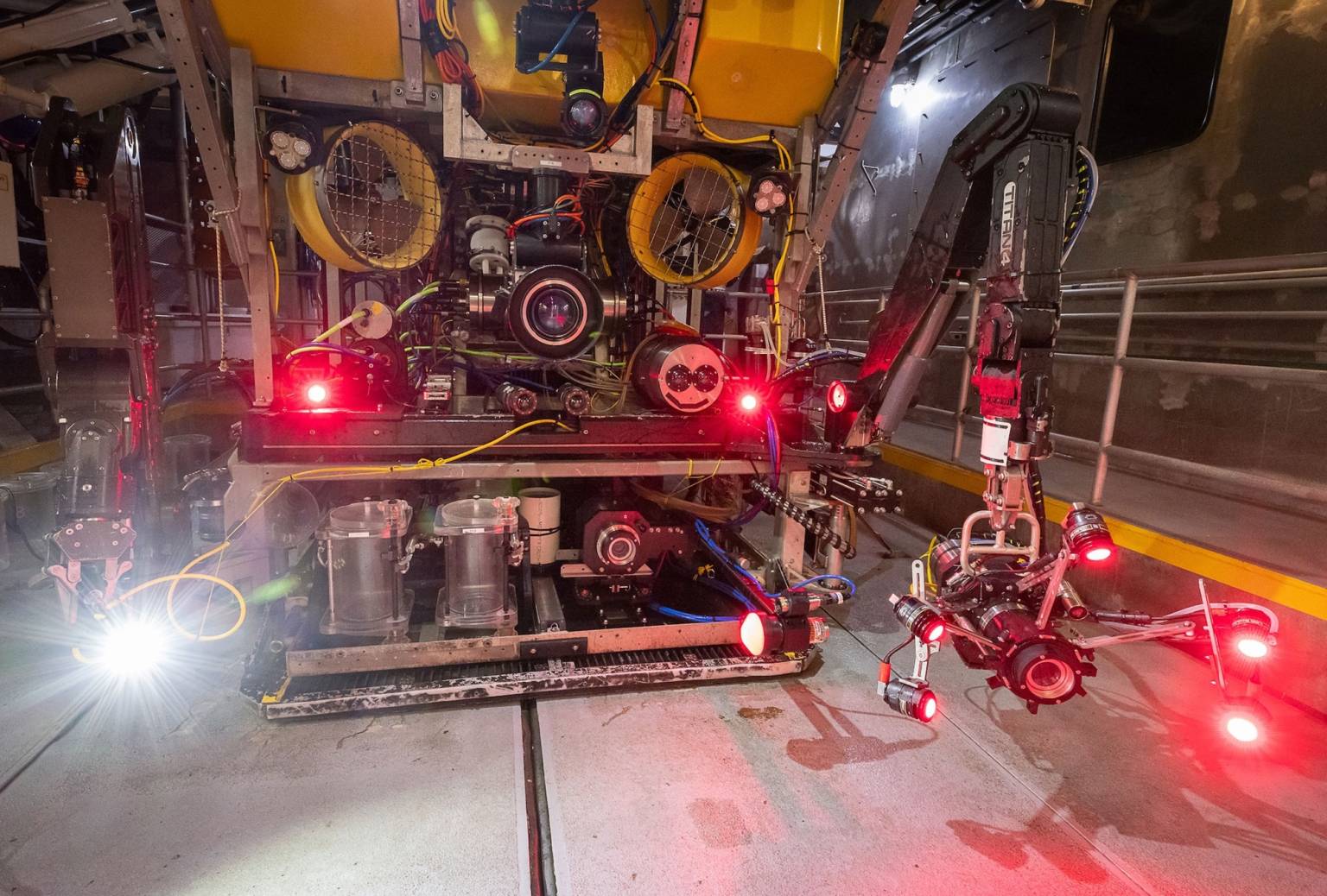 How Octopuses Crawl: New Study Shows Detailed Cephalopod Movements | KQED