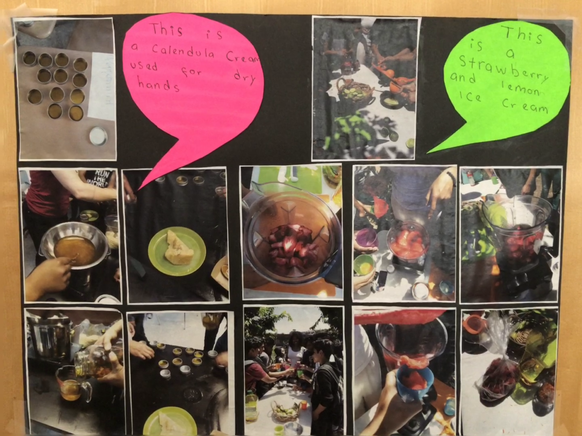 How My Newcomer Students Used Multimedia Presentations to Share Their ...