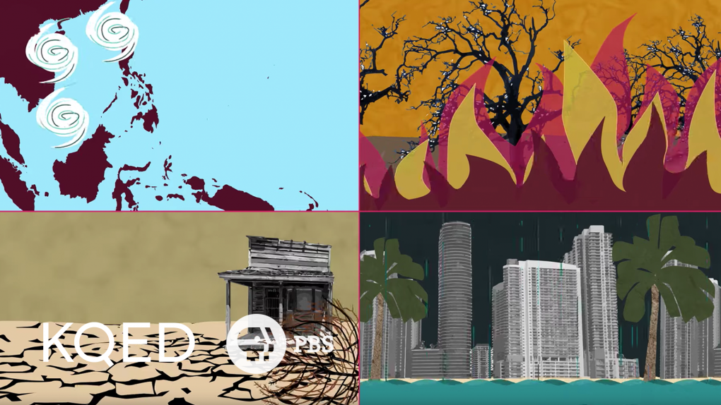 Top 3 Climate Change Videos for Critical Thinking | KQED