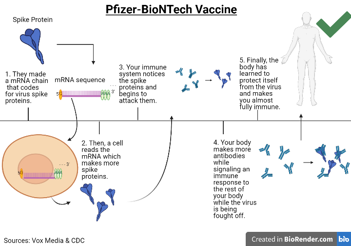 Using Infographics to Make Sense of COVID-19 Vaccines | KQED