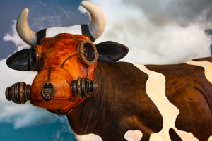 Taxing cow and sheep farts | O-T Lounge