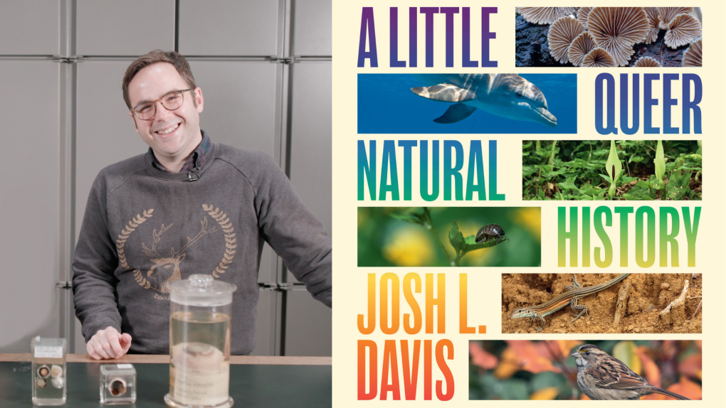 The Natural World is Queerer Than You Think | KQED