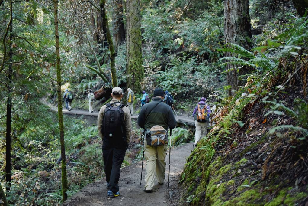 What Does Wilderness Mean in our Modern World? | KQED