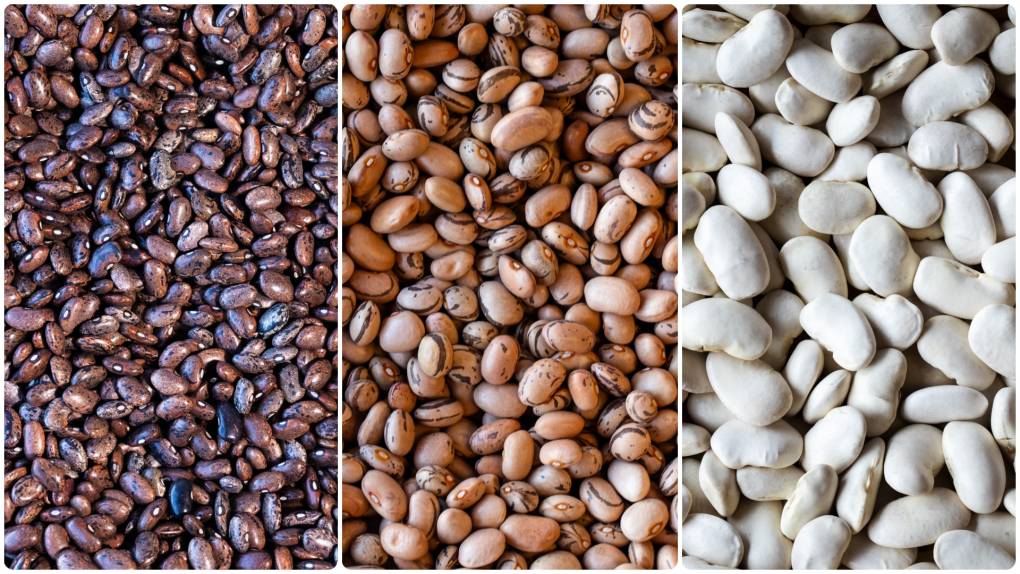 All Hail the Humble and Glorious Bean | KQED